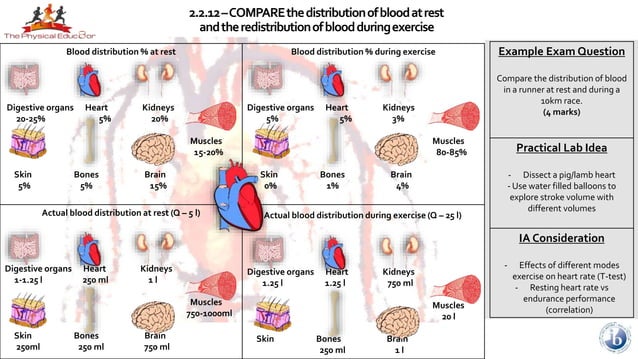 Unit-2-Cardiorespiratory-System.pptx