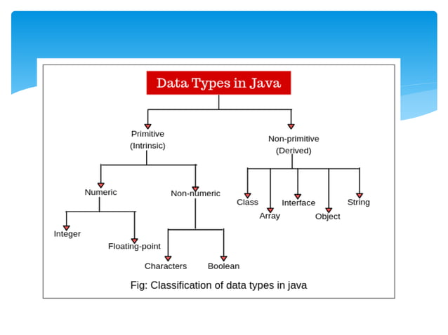 Unit 2 Data Typesvariablesoperatorsconitionalsloops And Arrays Pptx