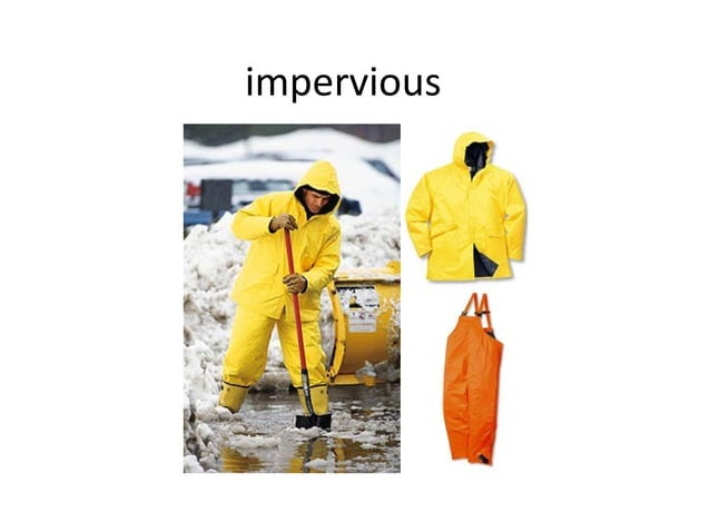 Unit 2, Level E | PPT