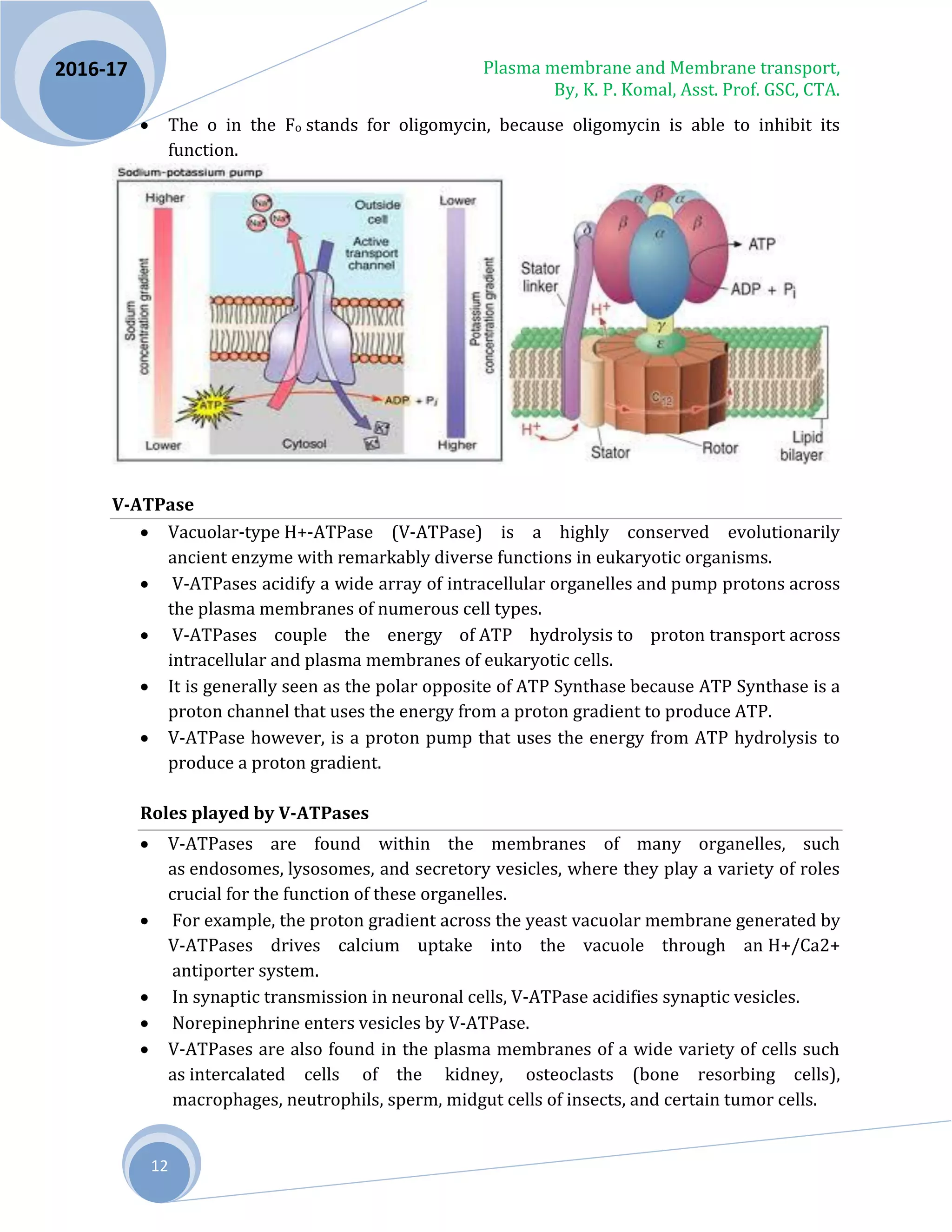 Unit 2-plasma membrane and membrane transport | PDF