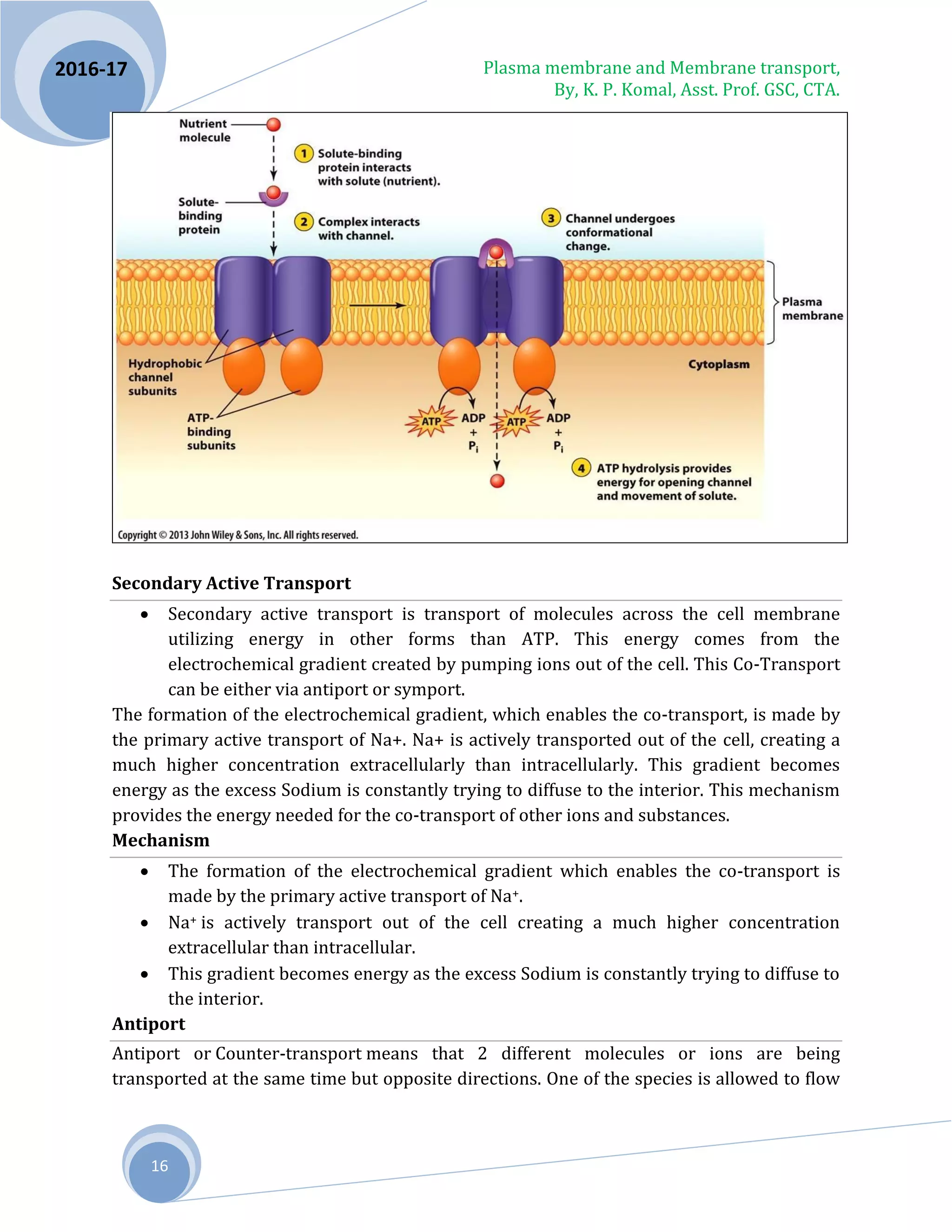 Unit 2-plasma membrane and membrane transport | PDF