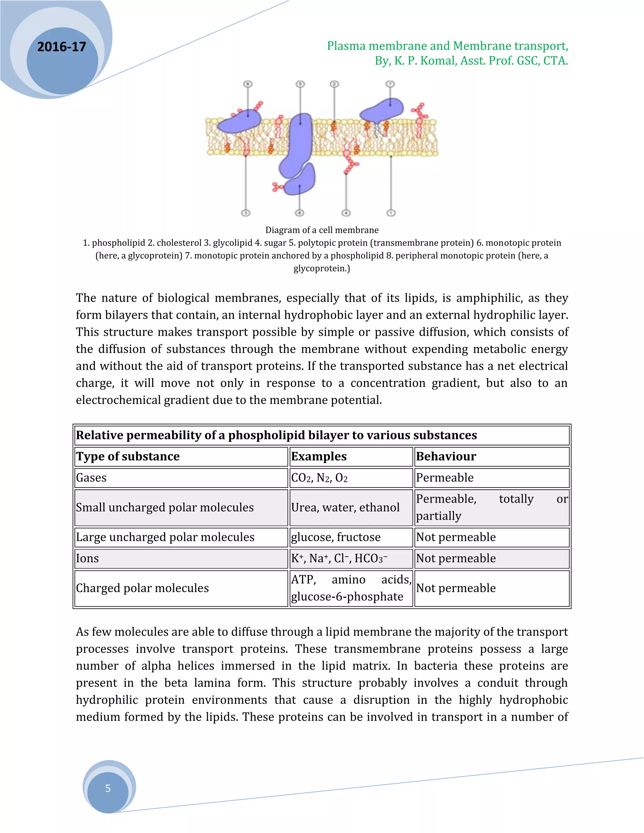 Unit 2-plasma membrane and membrane transport | PDF