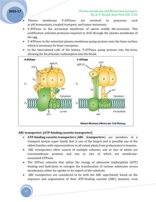 Unit 2-plasma membrane and membrane transport | PDF