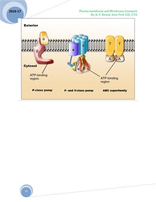 Unit 2-plasma membrane and membrane transport | PDF
