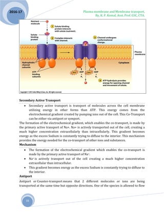 Unit 2-plasma membrane and membrane transport | PDF