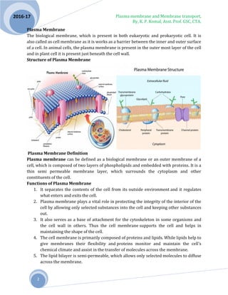 Unit 2-plasma membrane and membrane transport | PDF