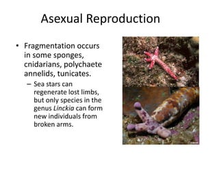 unit-2-reproduksi-tumbuhan-dan-hewan.pdf