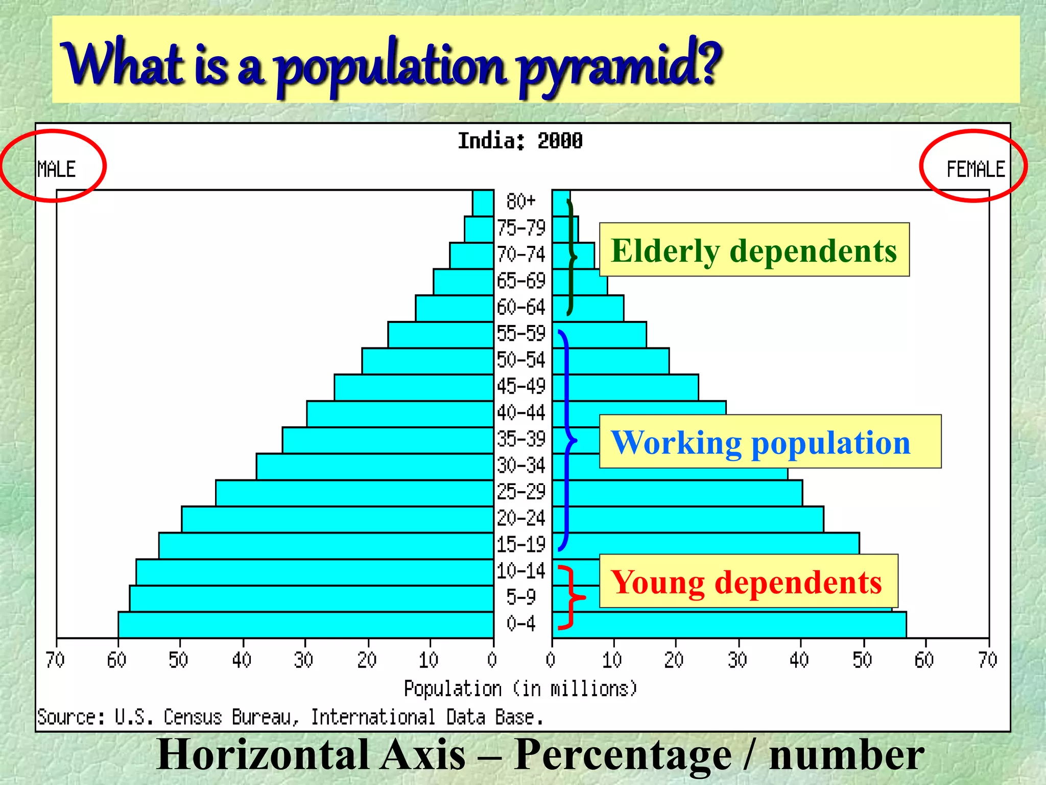 Unit - 2 2. Population pyramids.pptx