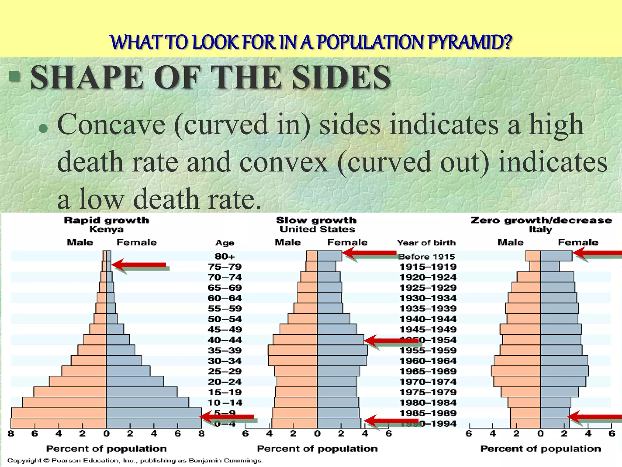 Unit - 2 2. Population pyramids.pptx