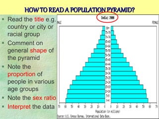 Unit - 2 2. Population pyramids.pptx
