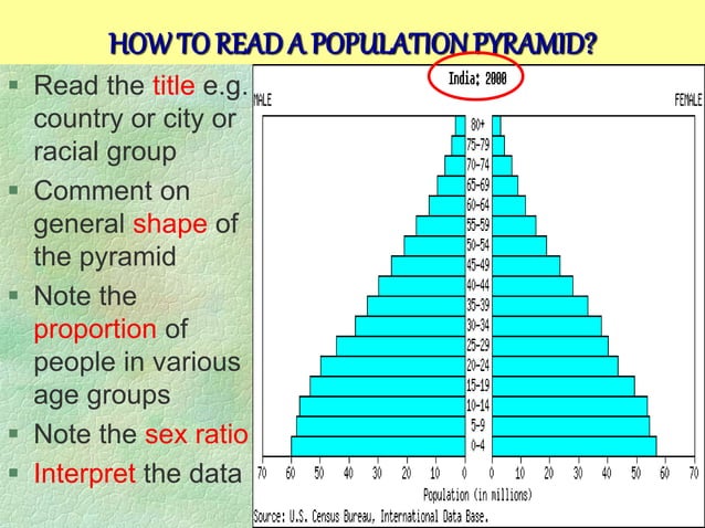 Unit - 2 2. Population pyramids.pptx