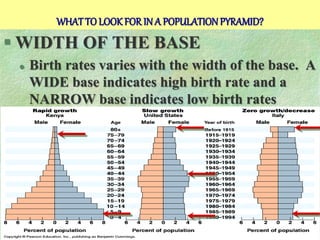 Unit - 2 2. Population pyramids.pptx