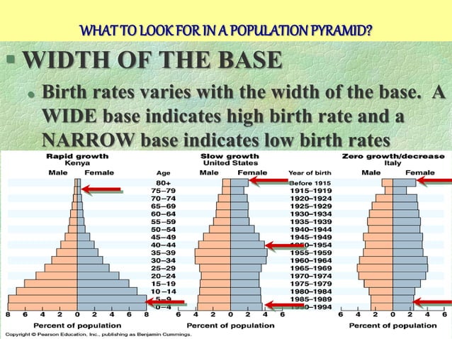 Unit - 2 2. Population pyramids.pptx