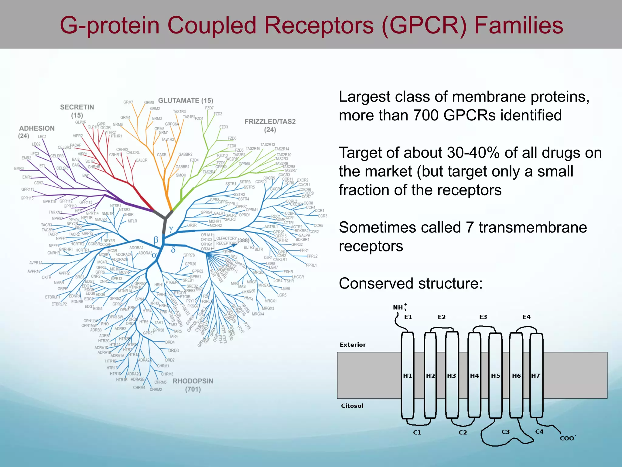 Unit 2 & 4 GPCRs WHOLE UNITS (GENERAL PHARMACOLOGY) | PDF | Endocrine ...
