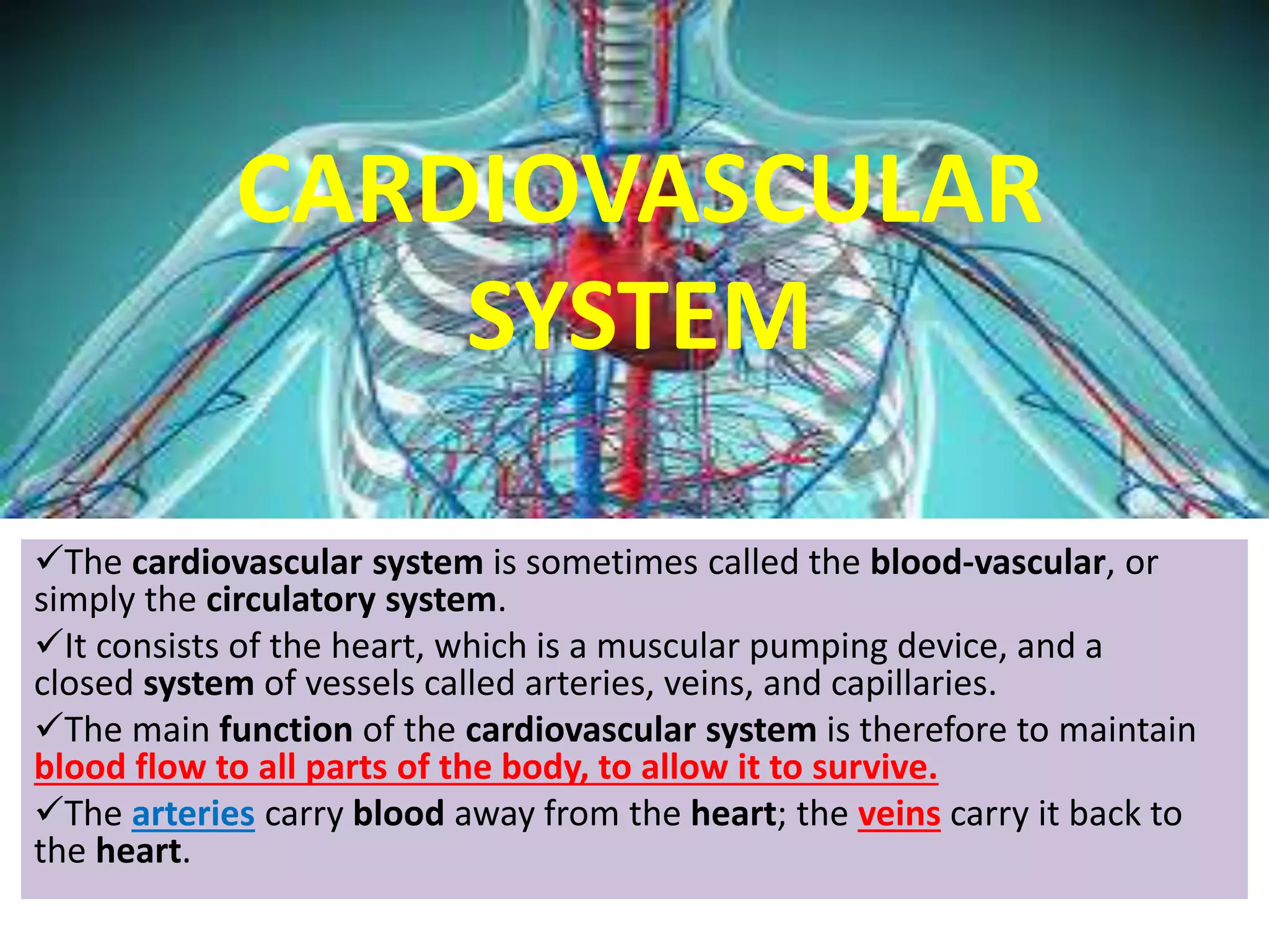 CVS/Anatomy of heart/ B.pharmacy 2 semester | PPTX