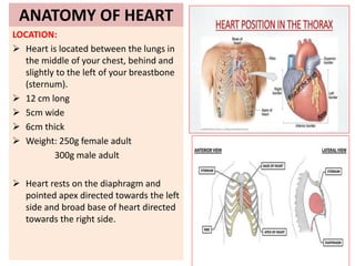 CVS/Anatomy of heart/ B.pharmacy 2 semester | PPTX