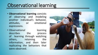 unit-2, Bandura SLT & SCLT. This is basically about the learning theory ...