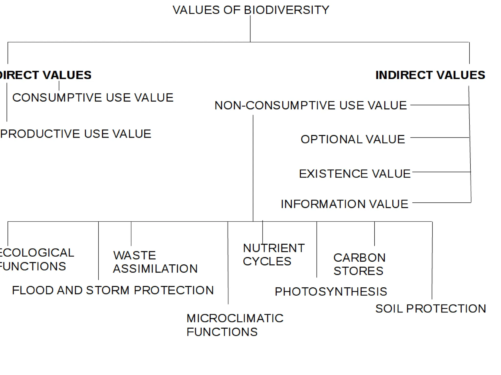 UNIT-2 Biodiversity and Conservation.pdf