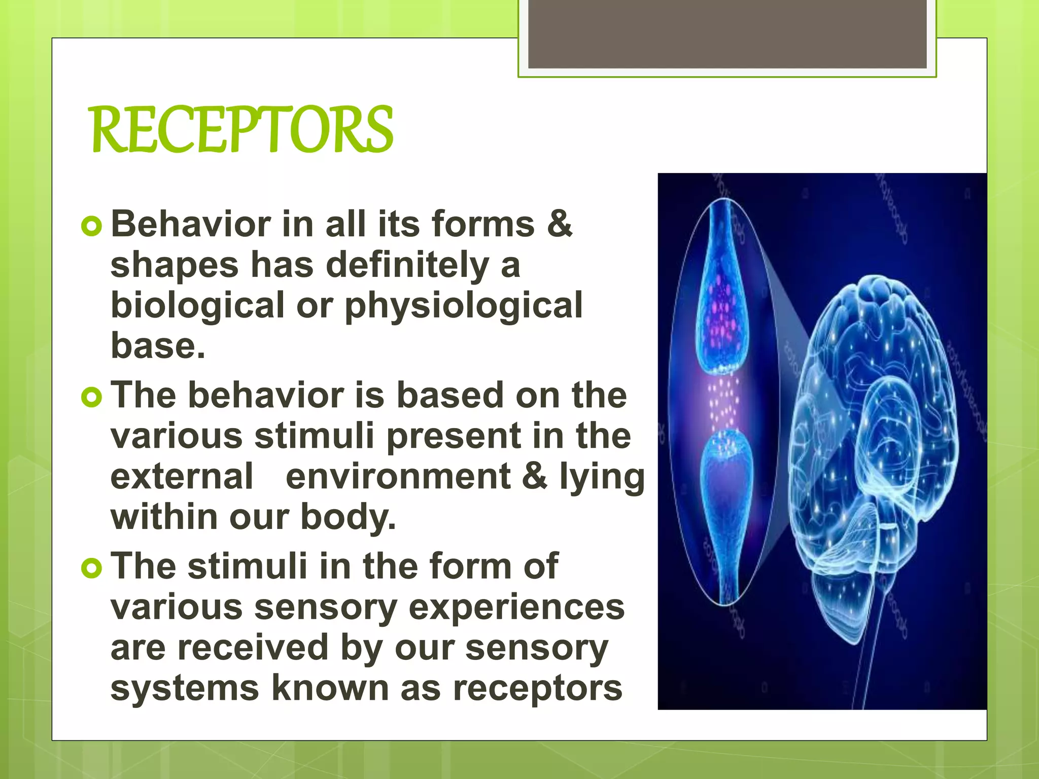 Unit 2 (biological basis of human behavior) | PPTX