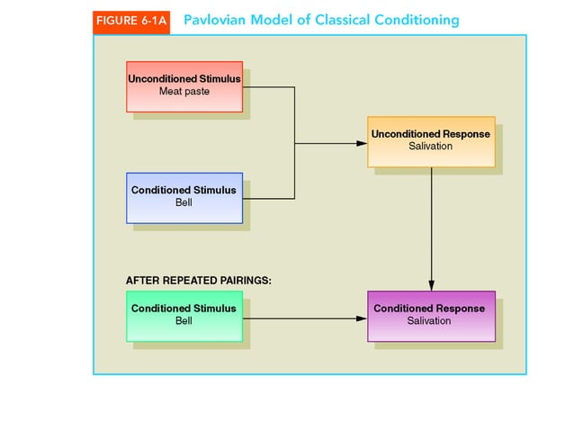 Consumer learning and consumer behavior process | PPT