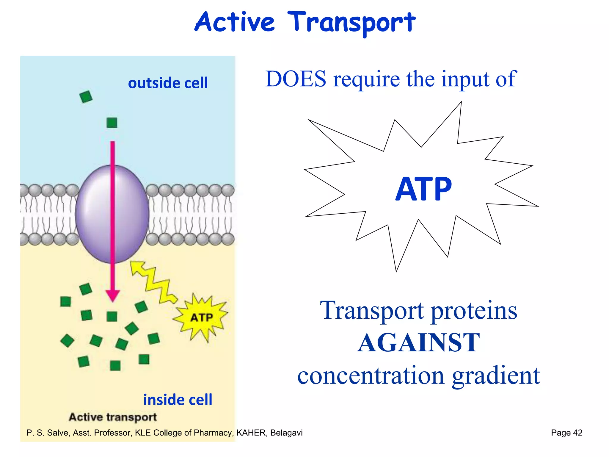 Cell and Transport Processes Across Cell Membrane | PPT