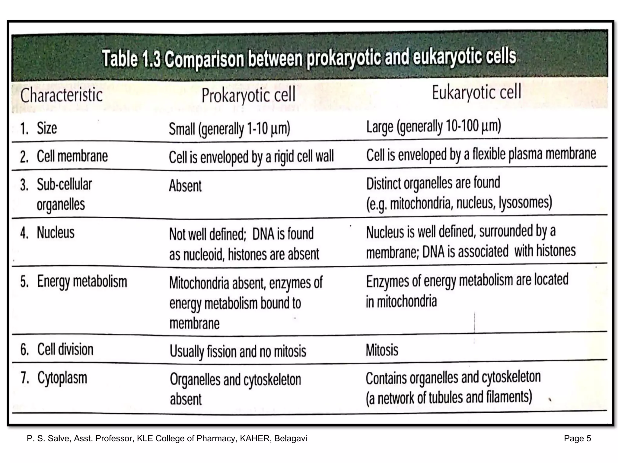 Cell and Transport Processes Across Cell Membrane | PPT