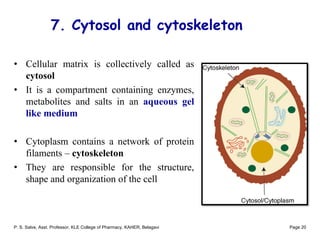 Cell and Transport Processes Across Cell Membrane | PDF