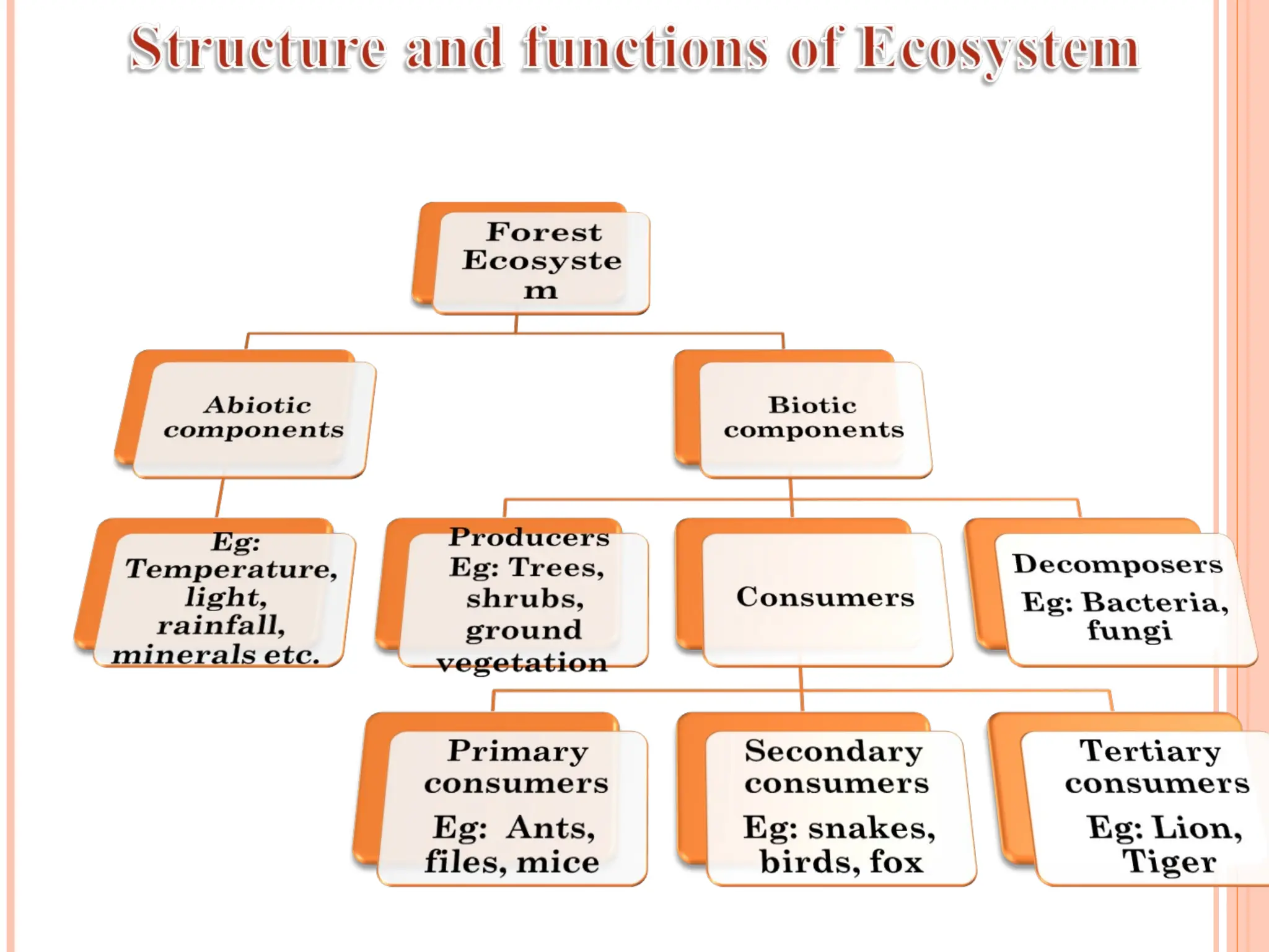 Unit-2 Ecosystems and food chains, ecological pyramids | PPT