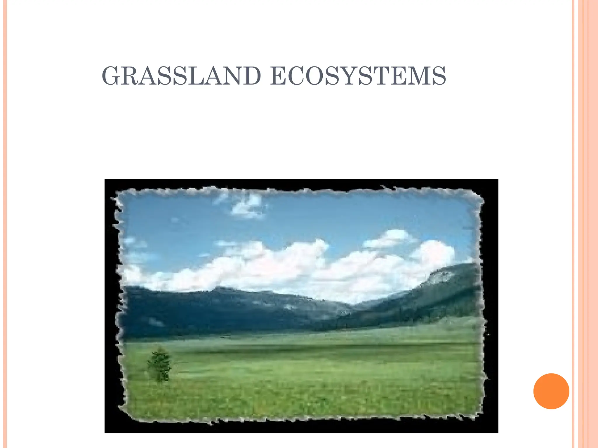 Unit-2 Ecosystems and food chains, ecological pyramids | PPT