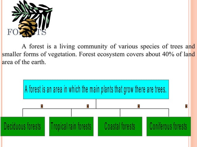 Unit-2 Ecosystems and food chains, ecological pyramids | PPT