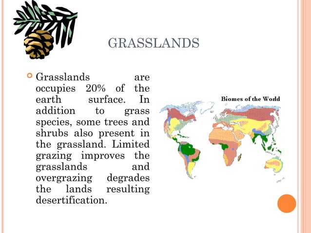 Unit-2 Ecosystems and food chains, ecological pyramids | PPT