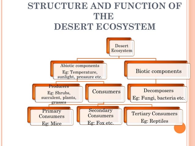 Unit-2 Ecosystems and food chains, ecological pyramids | PPT