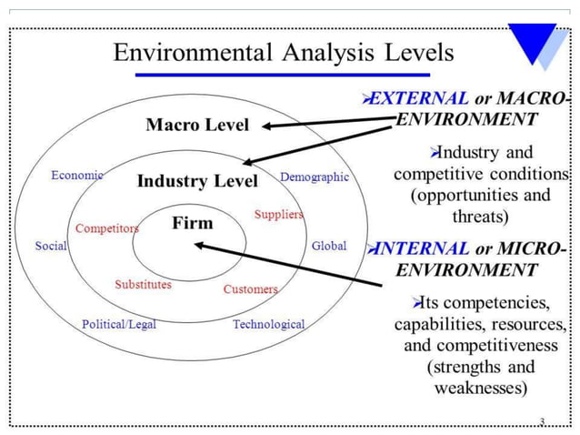 Unit 2 environmental analysis | PPTX