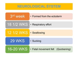 Unit-2 FETALDEVELOPMENT.pdf for IV year B ScN | PDF