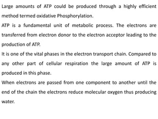 Unit-2_first_year_bkg_final[1].pptx