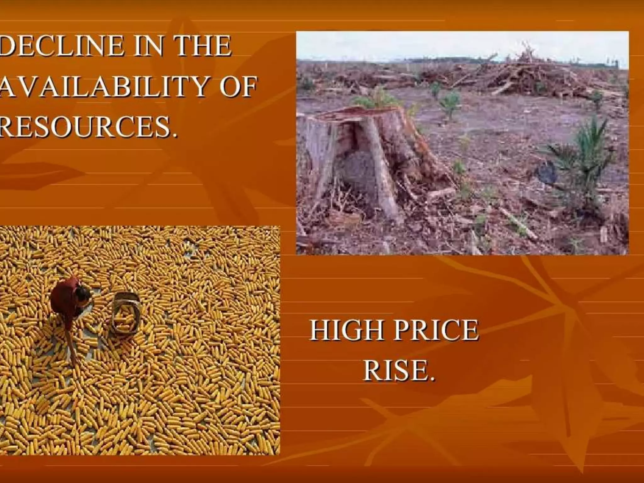 Fragiel Ecosystem.pptx