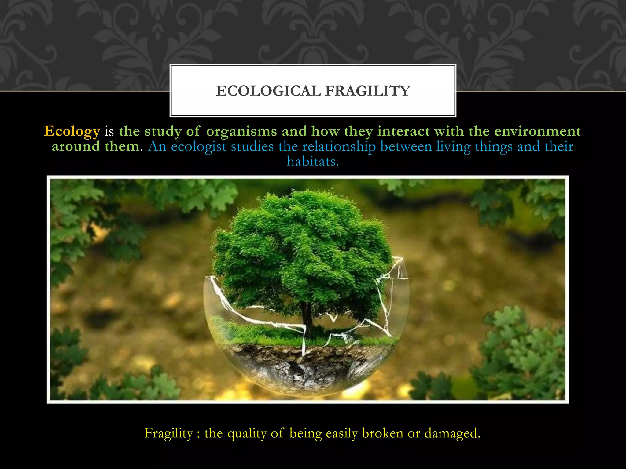 Fragiel Ecosystem.pptx