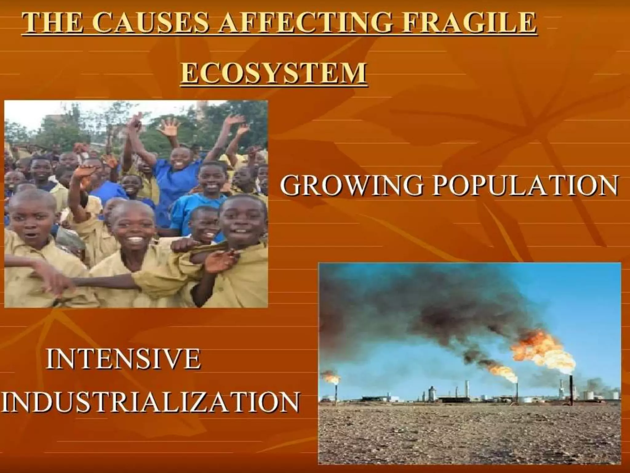 Fragiel Ecosystem.pptx