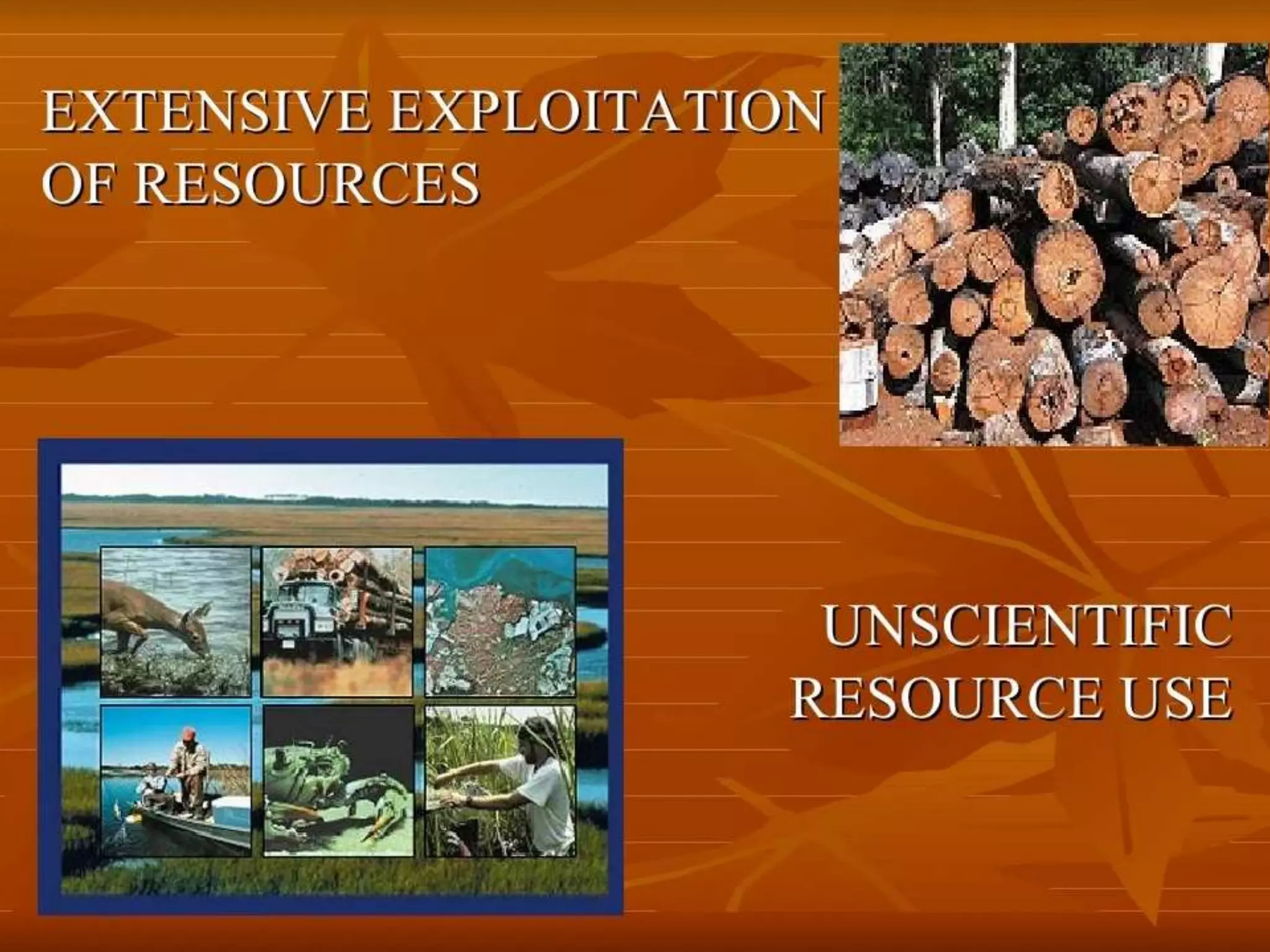 Fragiel Ecosystem.pptx