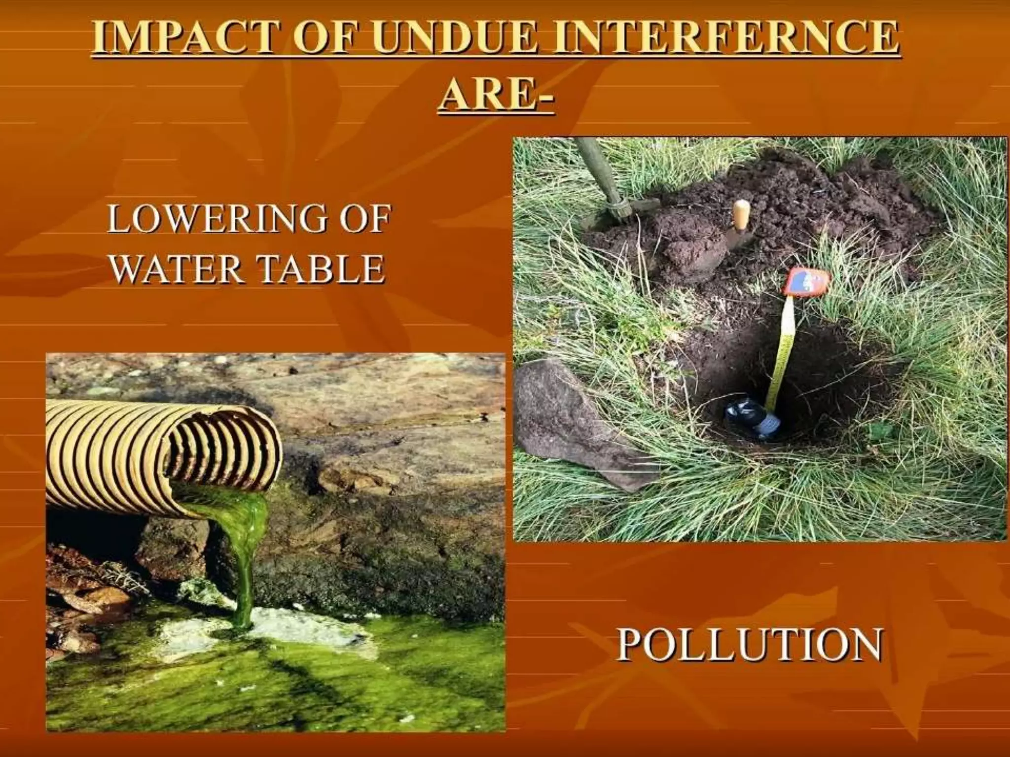 Fragiel Ecosystem.pptx