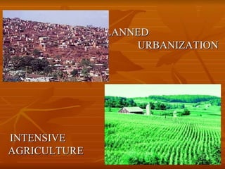 Fragiel Ecosystem.pptx