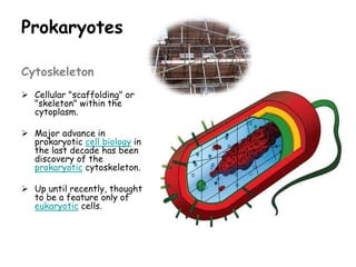 Unit-2(Lecture- 5th) Cellular architecture of Prokaryotic Cell.pptx