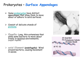 Unit-2(Lecture- 5th) Cellular architecture of Prokaryotic Cell.pptx