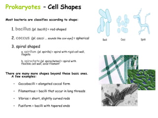 Unit-2(Lecture- 5th) Cellular architecture of Prokaryotic Cell.pptx