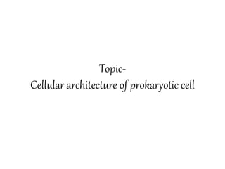 Unit-2(Lecture- 5th) Cellular architecture of Prokaryotic Cell.pptx