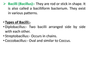 Micro-Organisms.pptx