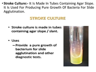 Micro-Organisms.pptx