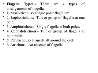 unit-2micro-organisms-.pptx for students | PPTX
