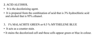 IDENTIFICATION OF BACTERIA USING STAINING TECHNIQUES | PPTX