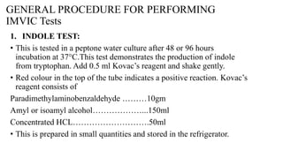 IDENTIFICATION OF BACTERIA USING STAINING TECHNIQUES | PPTX